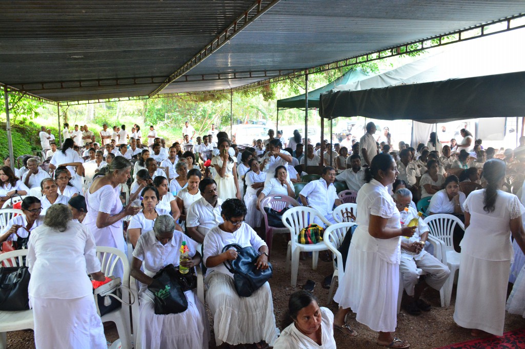 සුවසෙත හෙළඔසු | පින්තූර ගොනුව