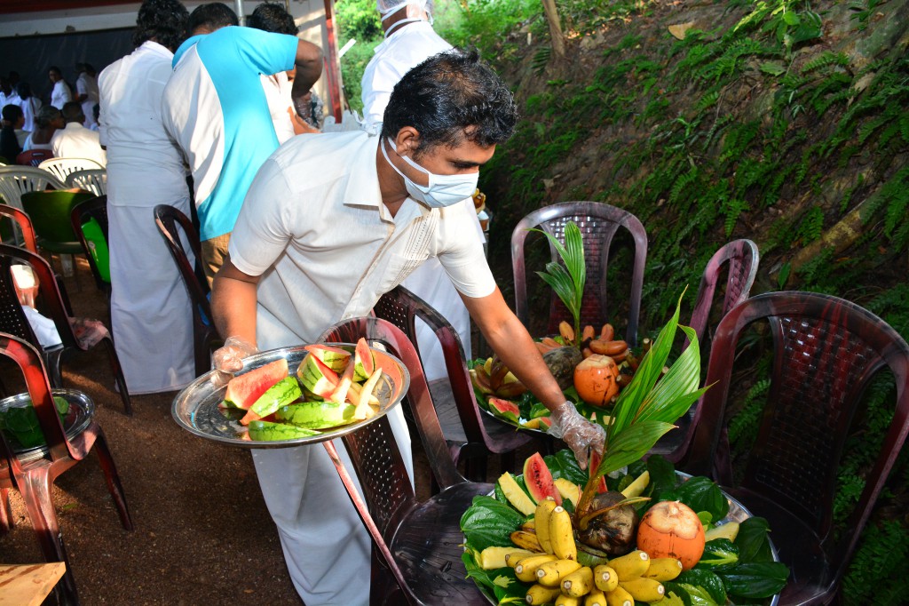 සුවසෙත හෙළඔසු | පින්තූර ගොනුව